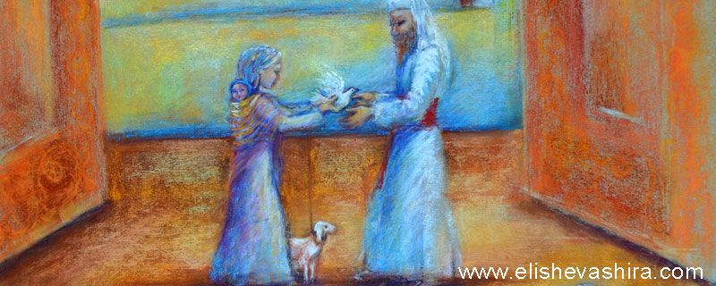 Women on the Land: Why the Difference in the Laws of Ritual Purity ...