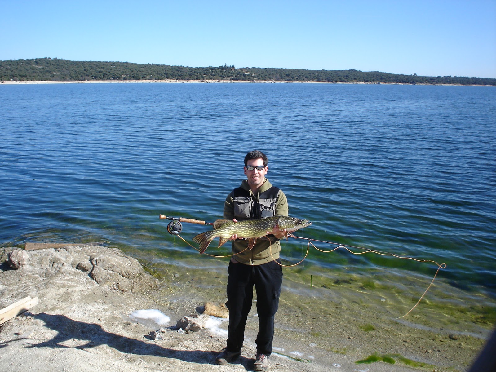 ONLY FLY FISH: LUCIO/PIKE/ESOX LUCIUS