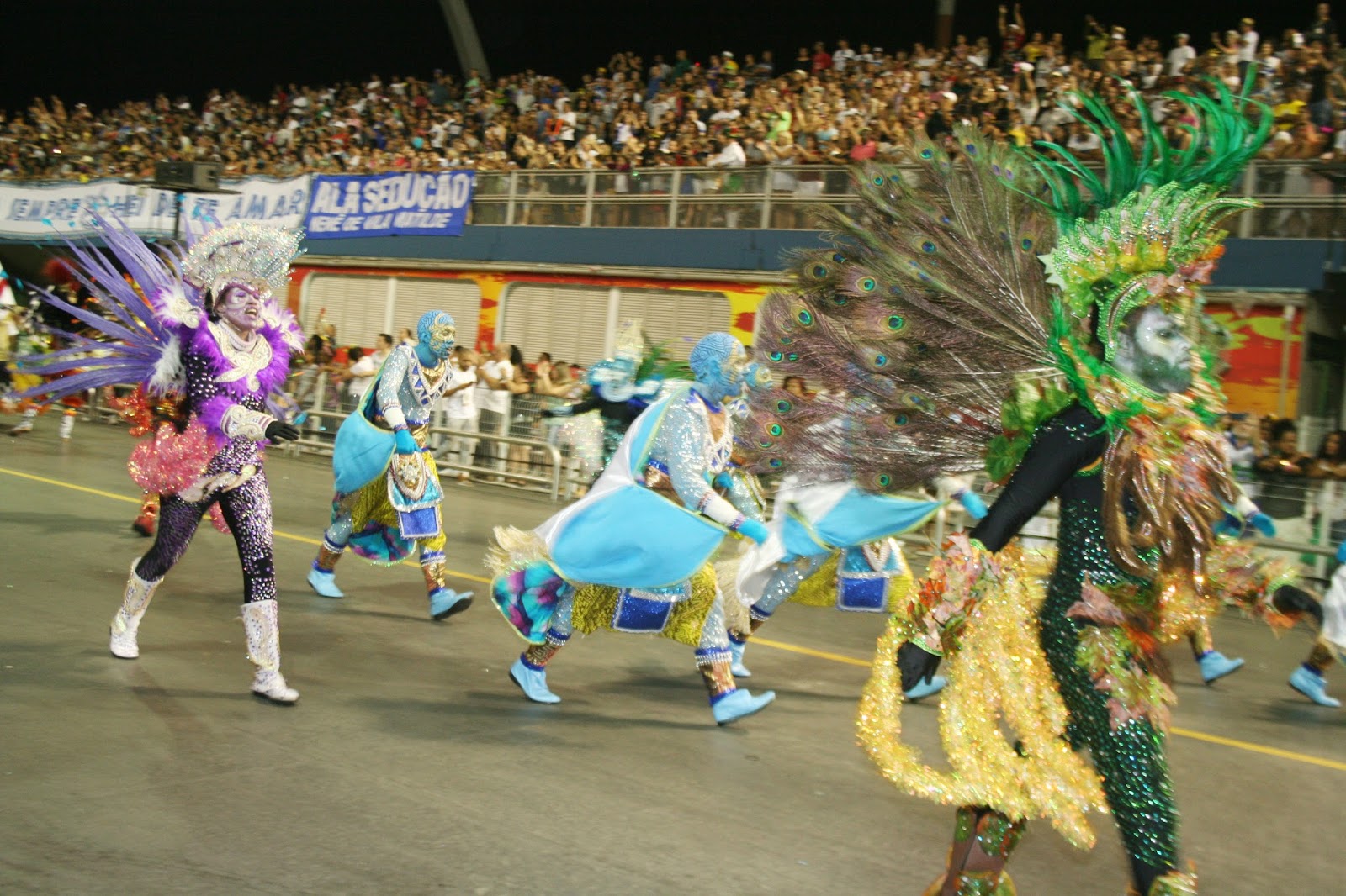 Colorado do Brás volta ao Especial após 25 anos - Portal E5