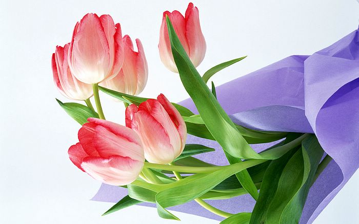 Indian Celebrity ZOON: Latest Flowers 2012