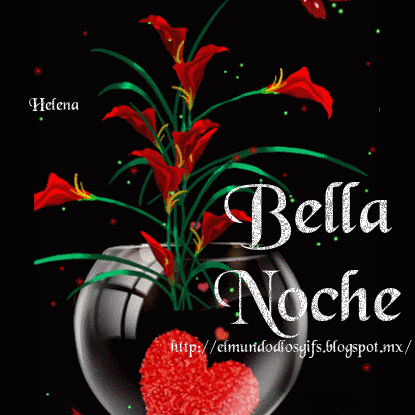 El Mundo de los Gifs: Bella noche (ver más..)