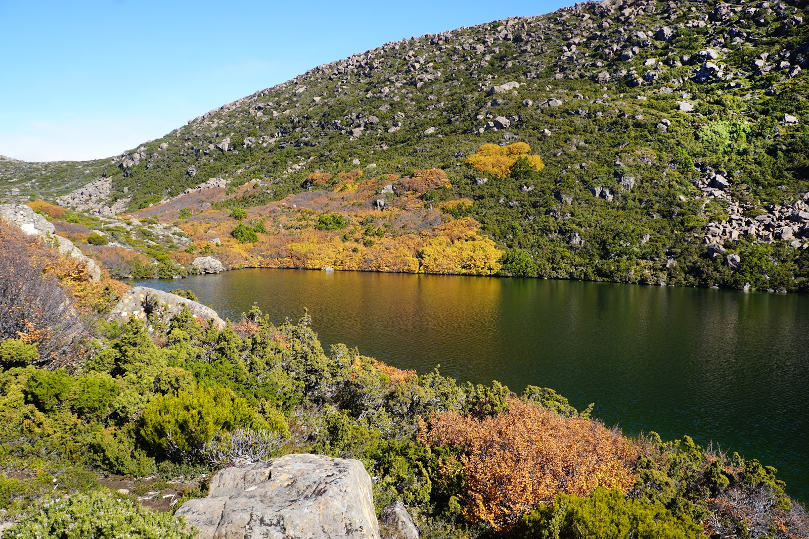 Tarn Shelf Circuit (Mount Field National Park) ~ The Long Way's Better