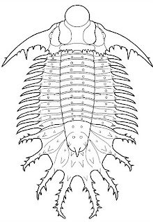 Life Before the Dinosaurs: Terataspis.