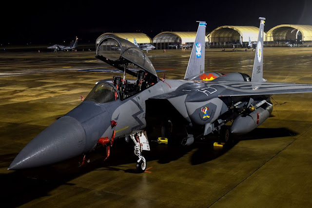 USAF F-15E STRIKE EAGLE RECEIVES AMAZING HERITAGE PAINT SCHEME - Blog ...