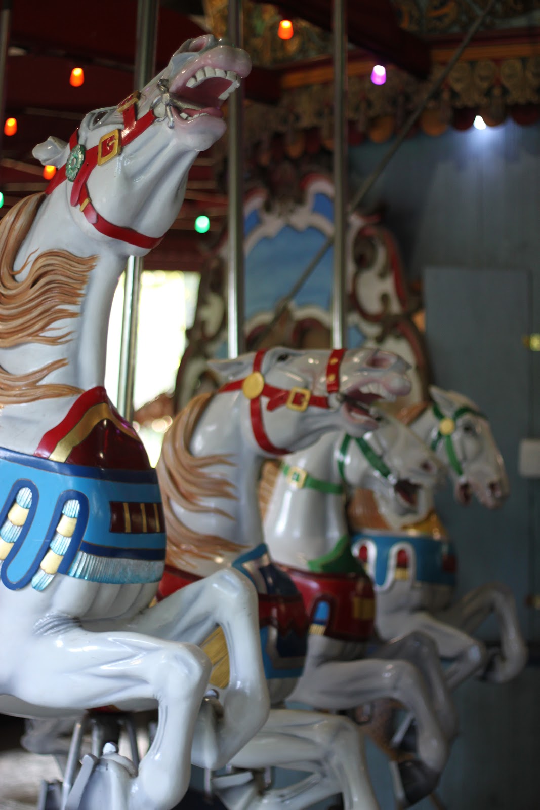 my year in carousel: Friedsam Memorial Carousel Central Park, New York
