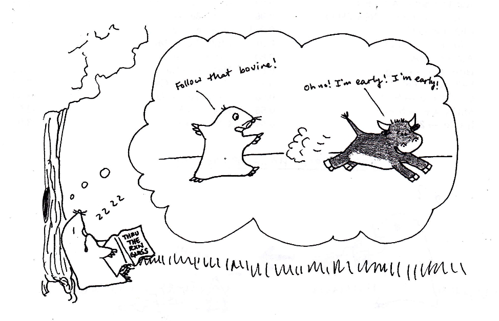 Cation Designs: Science Teacher?