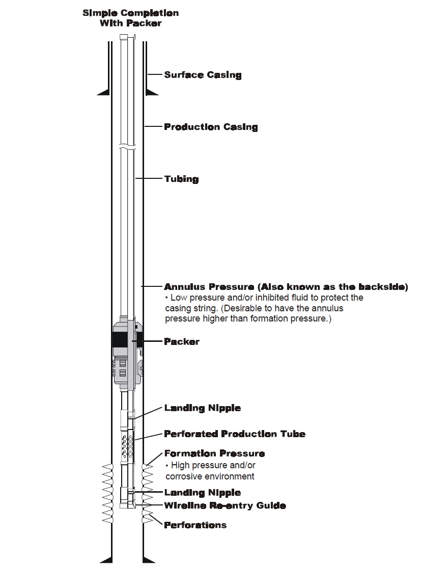 Completion Components lec ( 7 ) |petroleum
