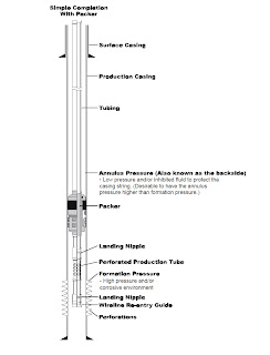 Completion Components lec ( 7 ) |petroleum