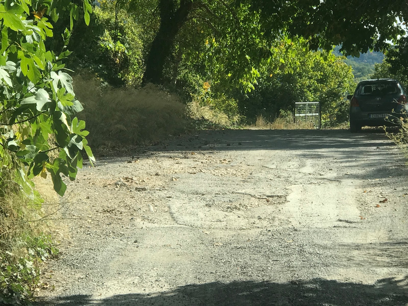 ORTHOLOGIKA: ΑΘΛΙΟΤΗΤΑ ΣΤΟ ΔΡΟΜΟ ΓΙΑ ΤΗ ΜΟΝΗ ΦΙΛΟΣΟΦΟΥ !!! ΣΤΟ ΑΓΙΟΝ ...