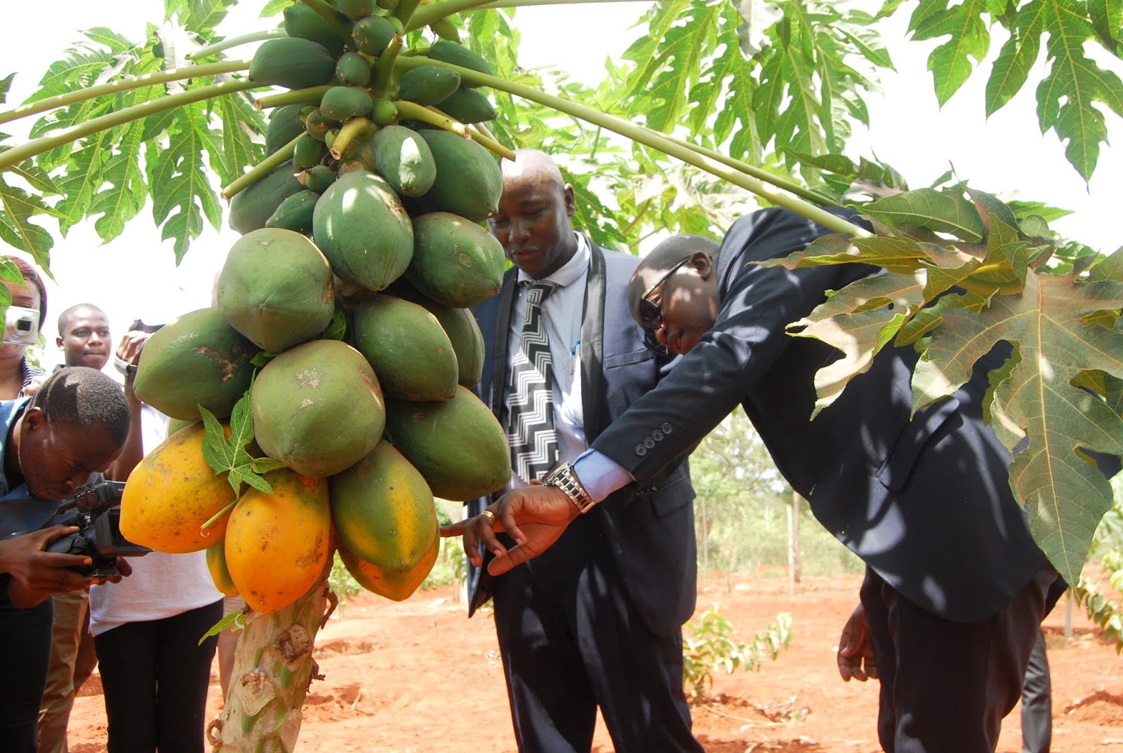 MATUKIO @ MICHUZI BLOG: SERIKALI YAZIPA KANDARASI YA THAMANI YA 2.9BN ...