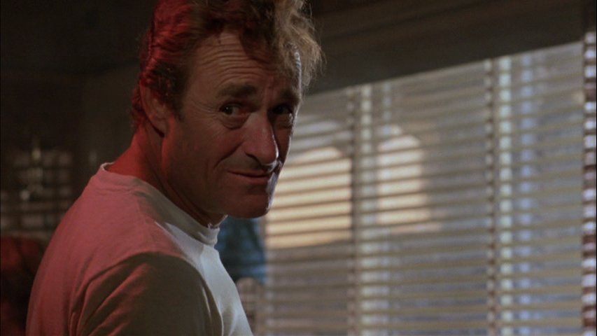 cine & cine: Dick Miller