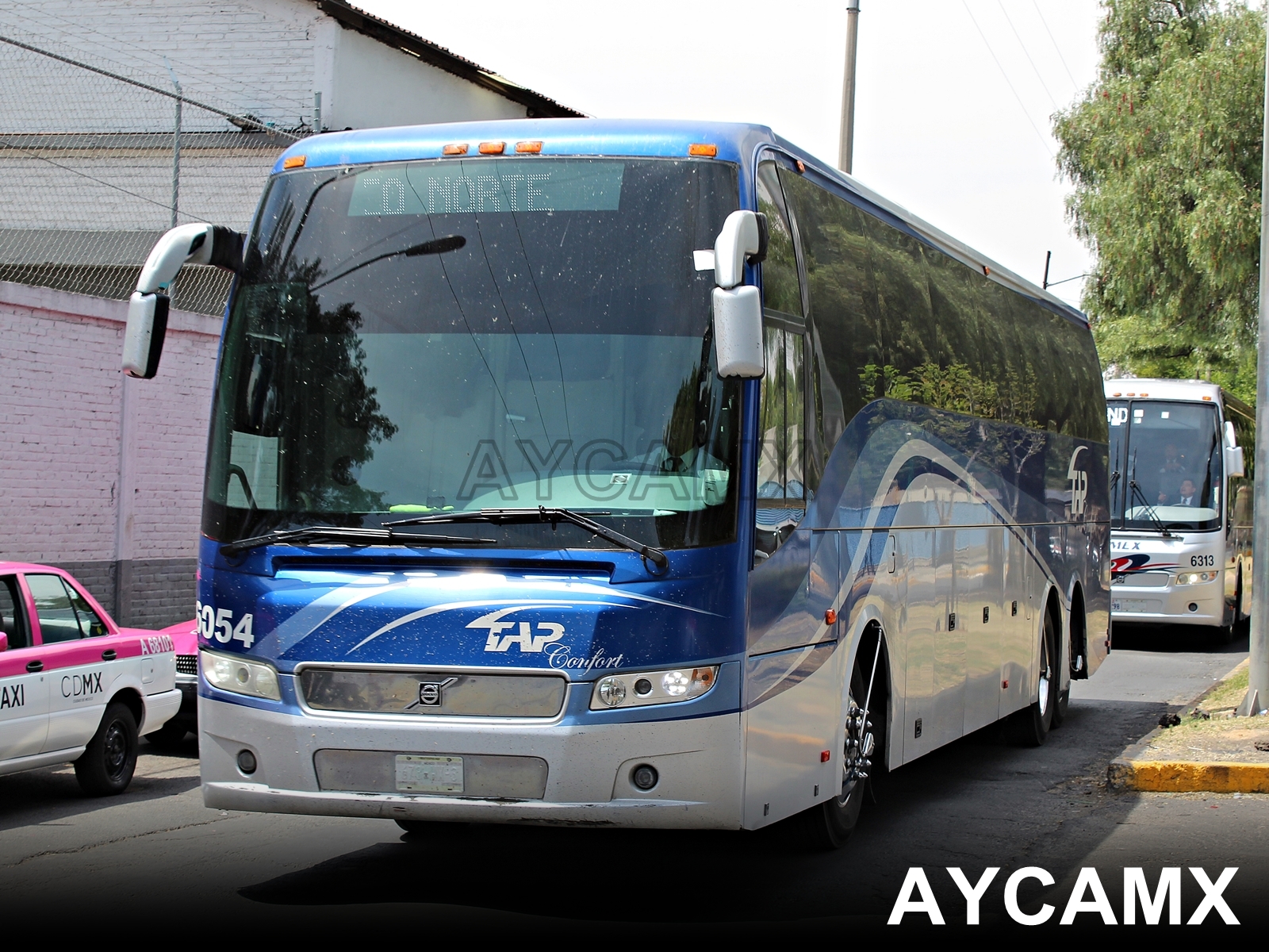AYCAMX - Autobuses y Camiones México : Autobuses Foráneos 511. TAP