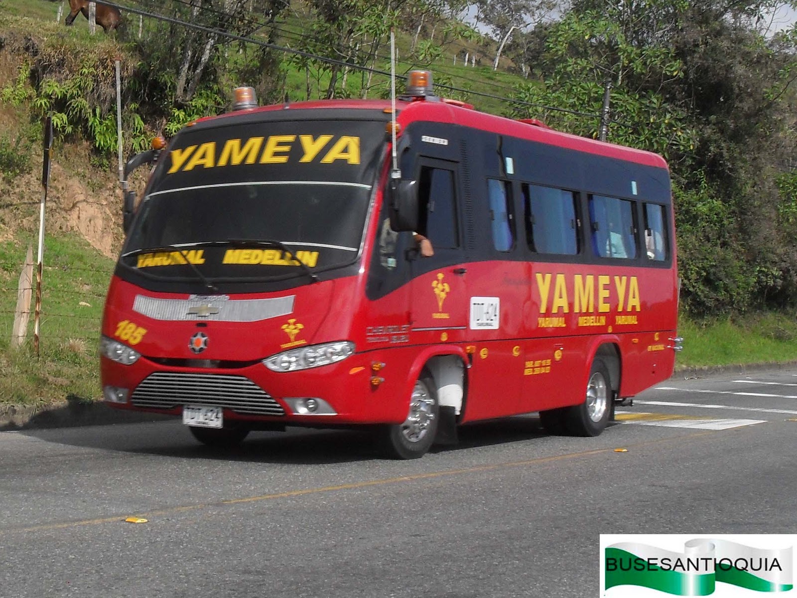 BUSES ANTIOQUIA: YAMEYA 185