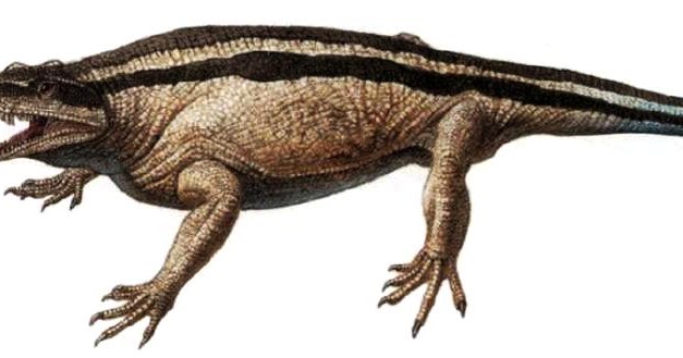 Blog de la Vida Prehistórica: Varanops