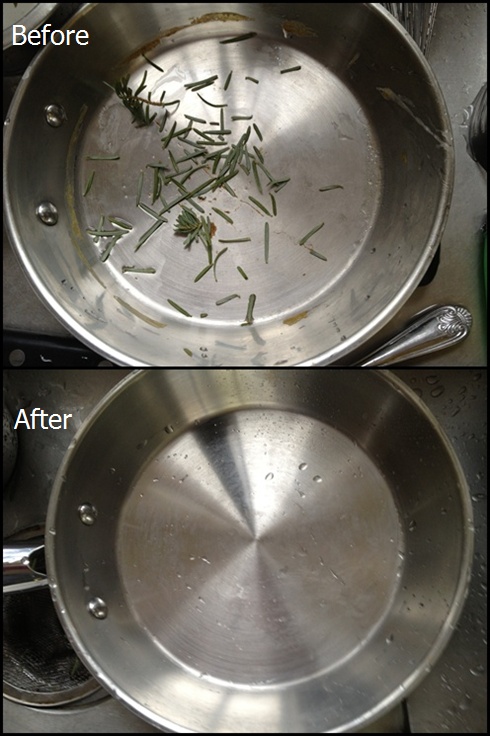 Olivia Cleans Green: Four Fantastic Pot & Pan Scrubbers