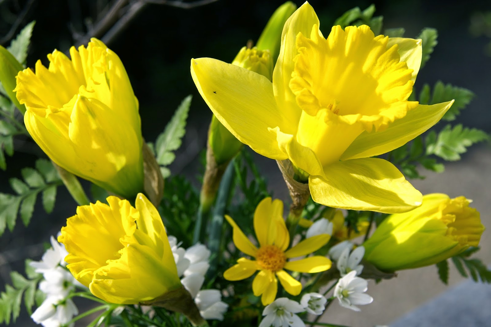 Two-Handed Stitcher: Spring is Busting Out All Over
