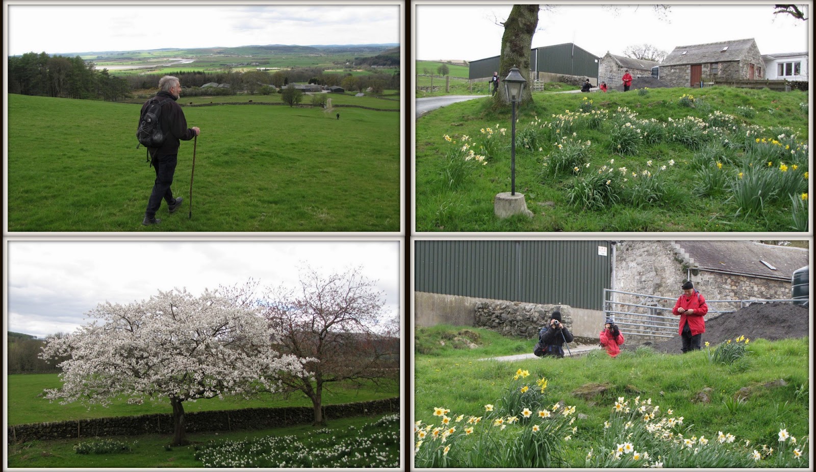 The Glebe Blog: Wigtownshire Ramblers Palnure Creetown April 2012