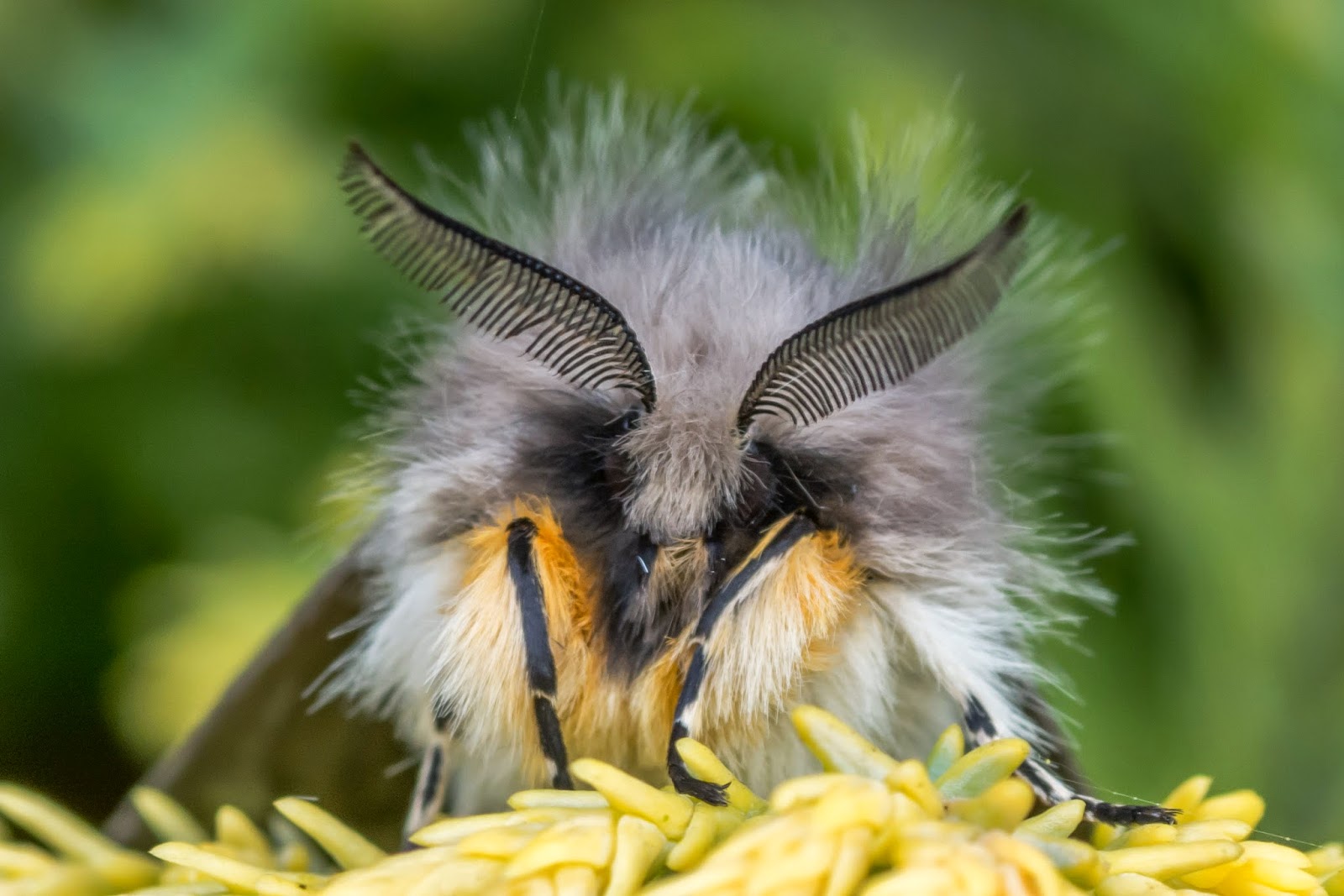Ruth's Ringing Record: April 2014