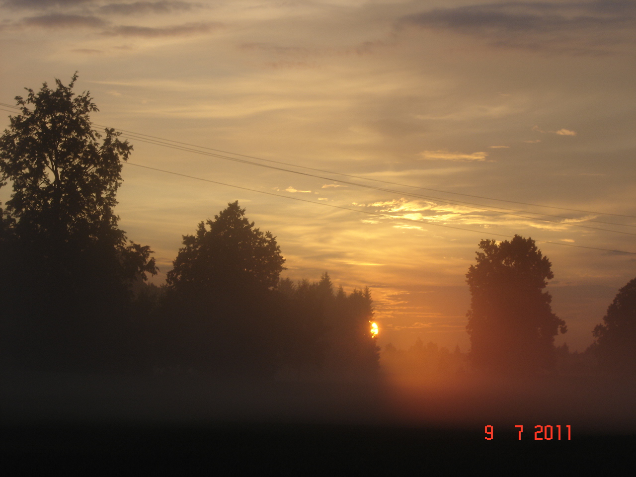 tiiuajaveeb: Siil udus