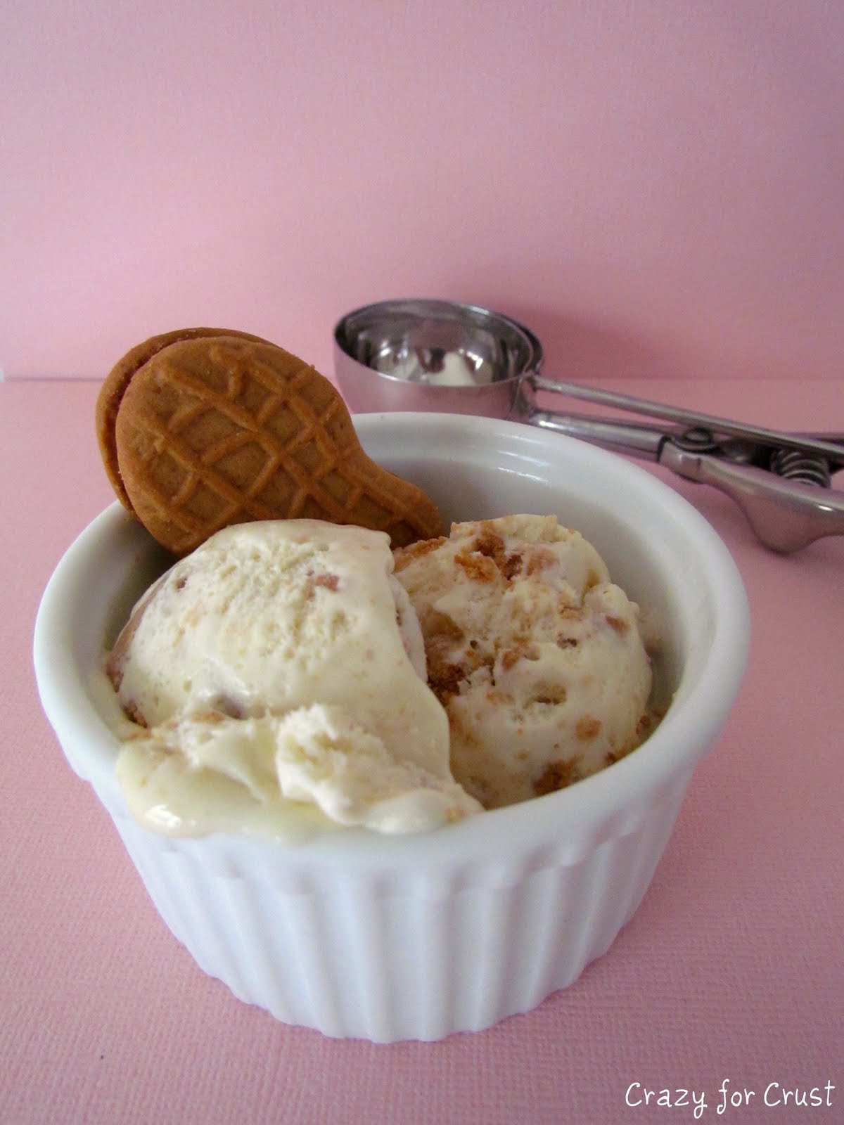 Nutter Butter {fake} Ice Cream - Crazy for Crust