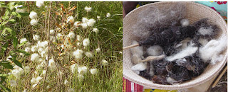 Cotton vs Wool Yarn - Byesh