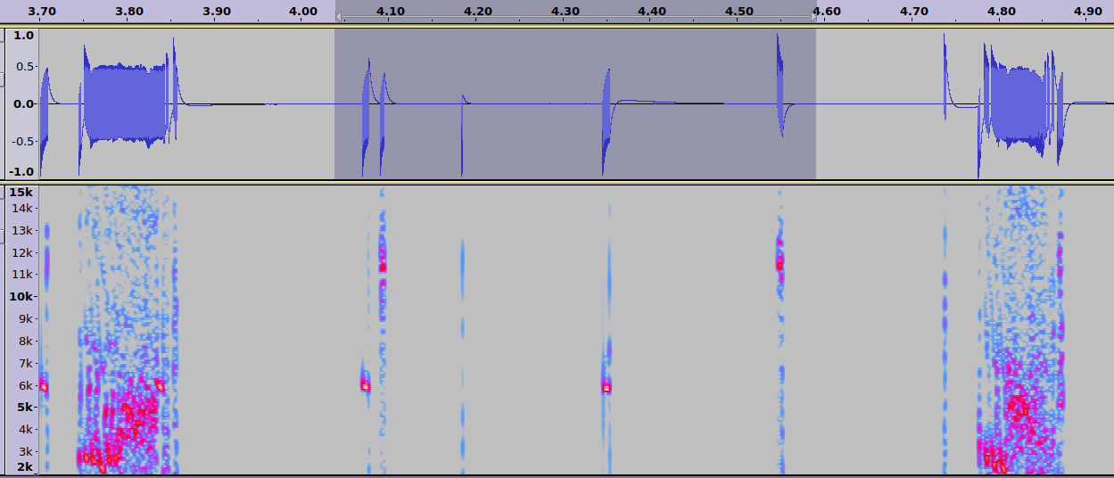 Captain Bodgit: Bat Call Analysis: more difficult than it looks!