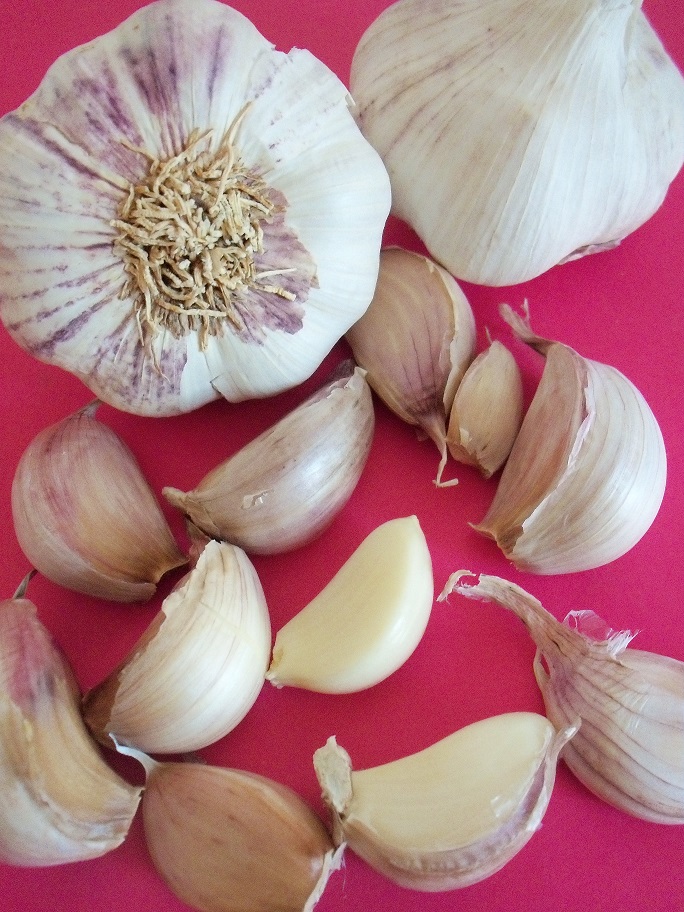 Czosnek: polski i chiński różnią się właściwościami?