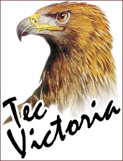 UNIDAD 5 ANÁLISIS E INTERPRETACIÓN DE LA INFORMACIÓN FINANCIERA.: Portada