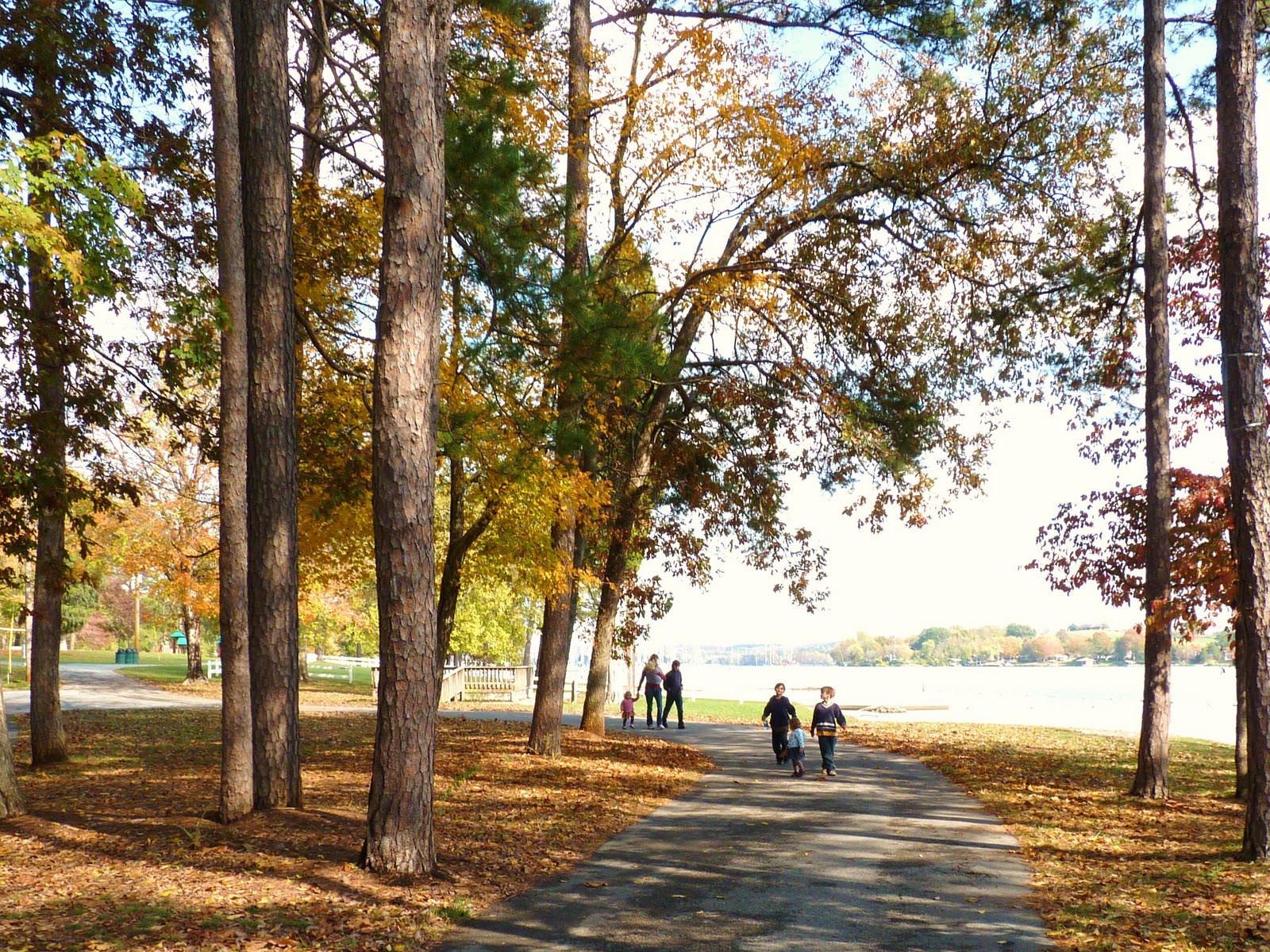 At the Butterfly Ball: Birthday at the Park