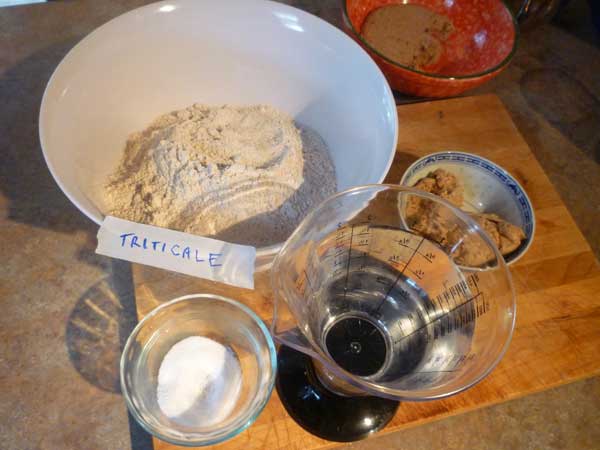 exorphin junkie: Triticale and Spelt Bread Bake-off