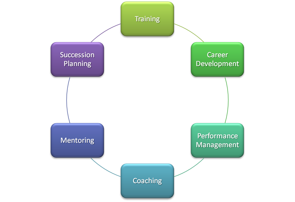 HR 101 - The Basics: HRD and HRM - What's the Difference?