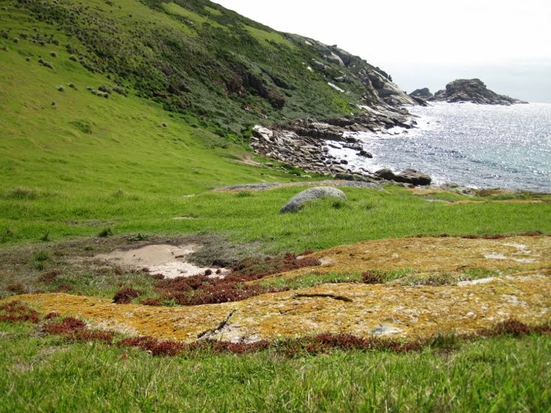 Kayaks across Bass Strait: Goodbye Hogan