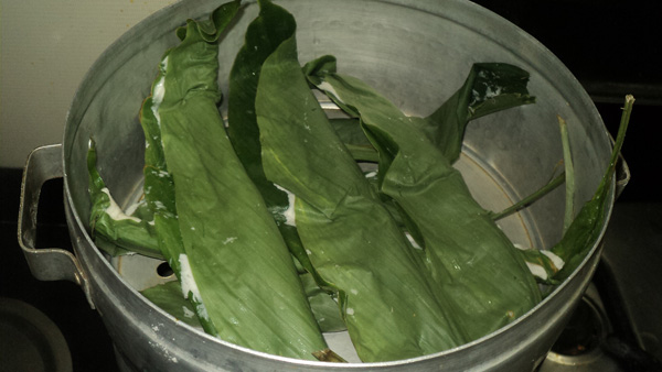 Patoli Recipe Or Patoleo Recipe, How To Make Patoli Recipe