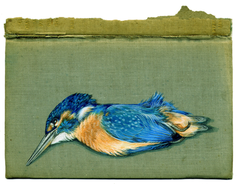 Animalarium: Halcyon Days