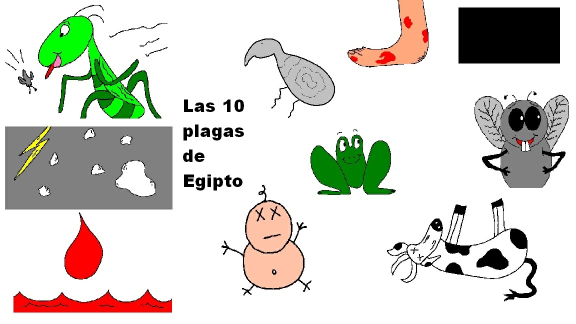 MOISÉS REGRESA A EGIPTO. LAS PLAGAS