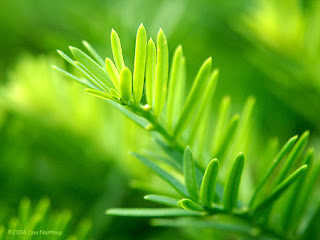 wallpaper zh: stock nature photos
