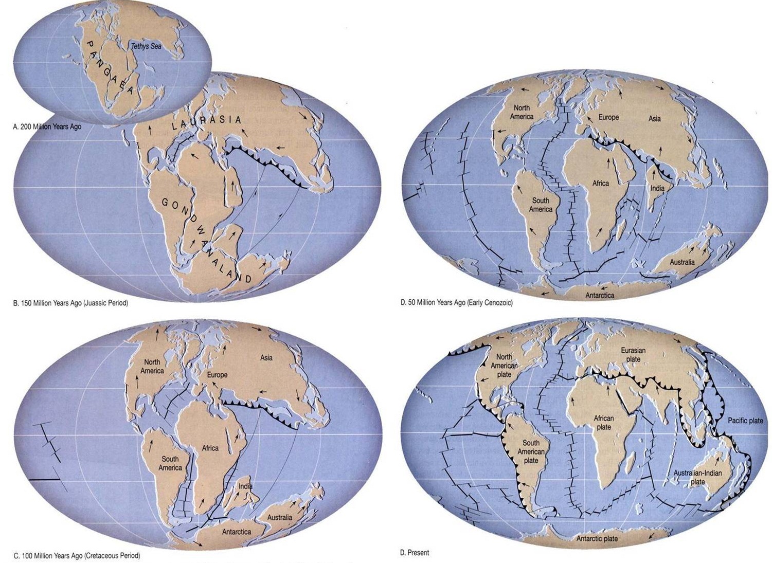 Geologi: Tektonik dan Struktur | KASKUS