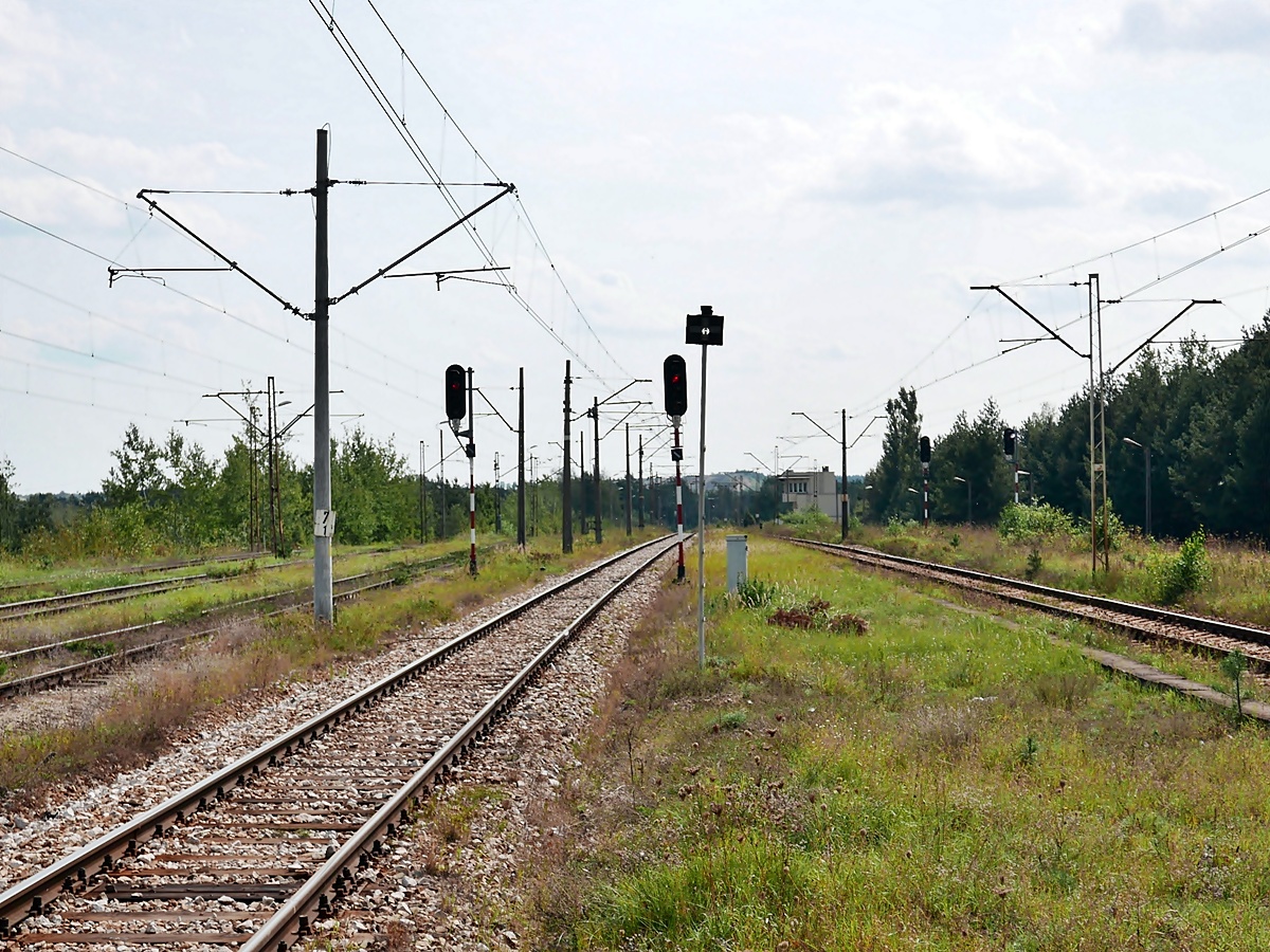 Class 66604 FPL na stacji Nida | Kolejowe Kielce