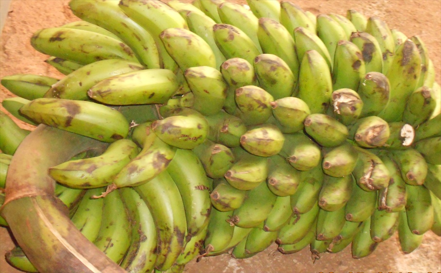 ukiahlight: Cooking local style