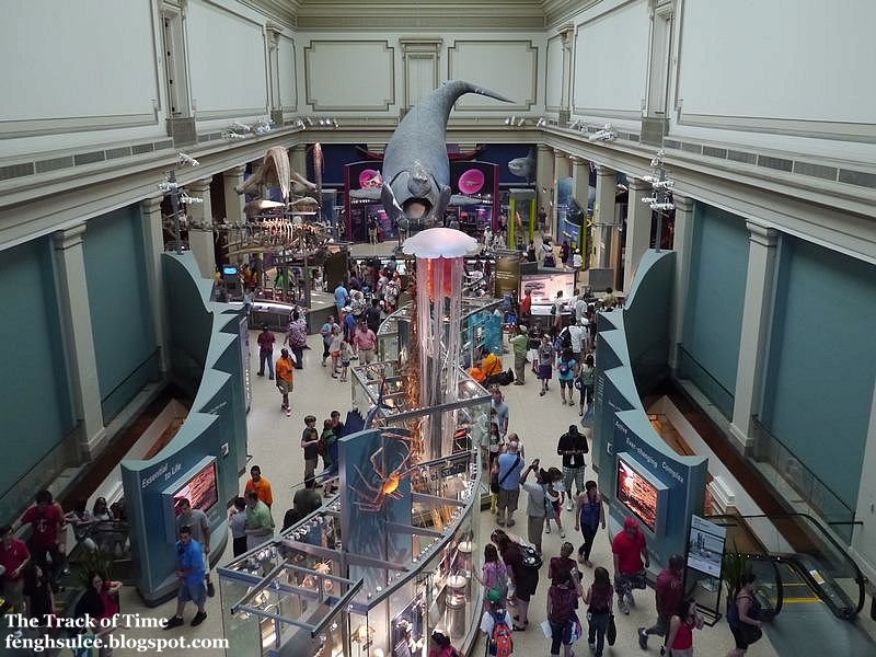 National Museum of Natural History - Ocean Hall | The Track of Time
