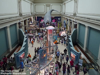 National Museum of Natural History - Ocean Hall | The Track of Time