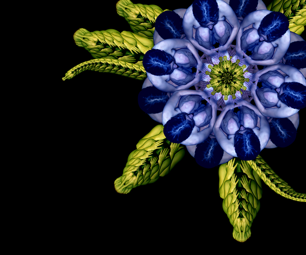 CUT and DRY : Human Flowers