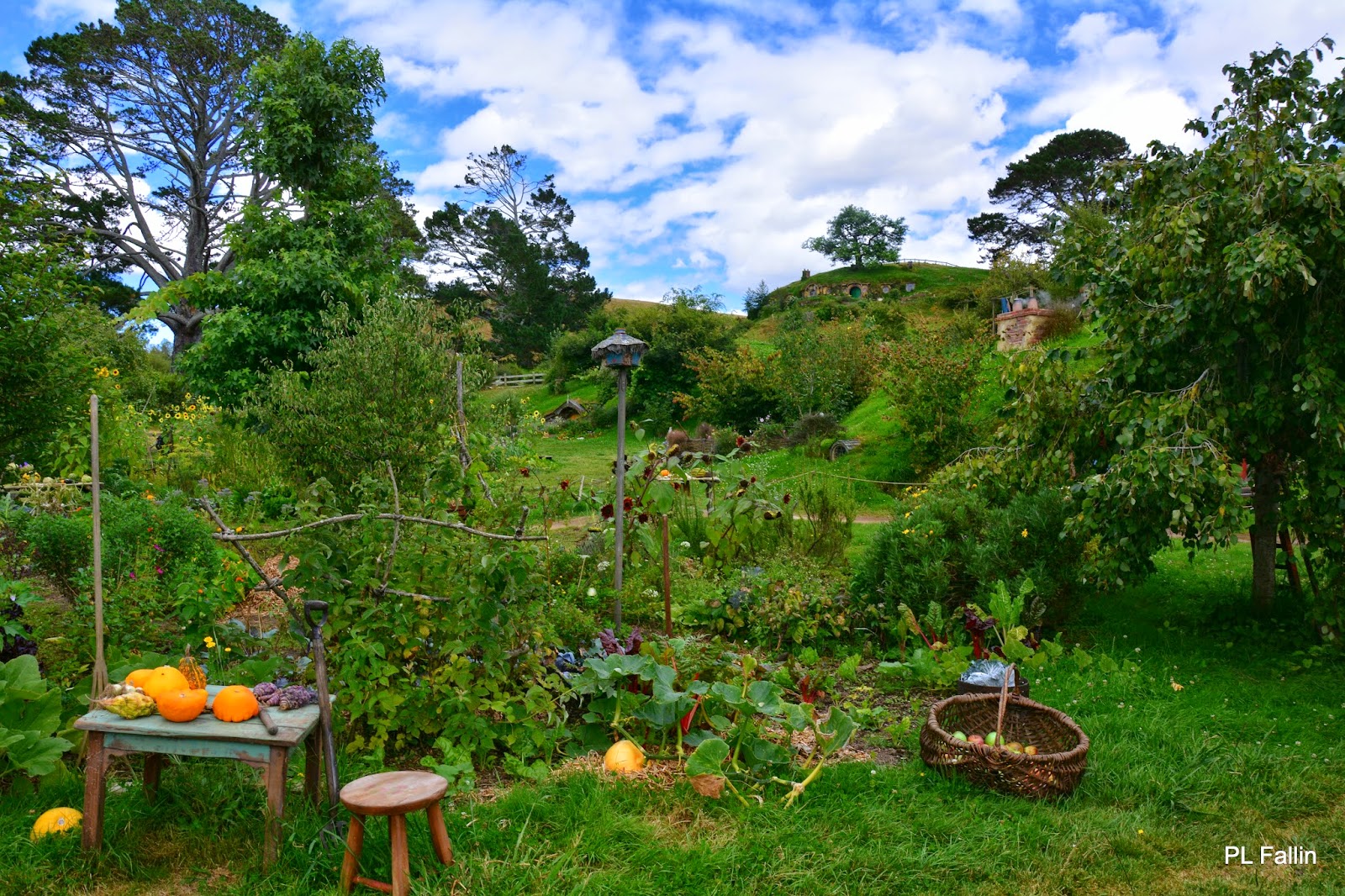 PL Fallin Photography: The Hobbit's Middle-Earth Flower and Vegetable ...