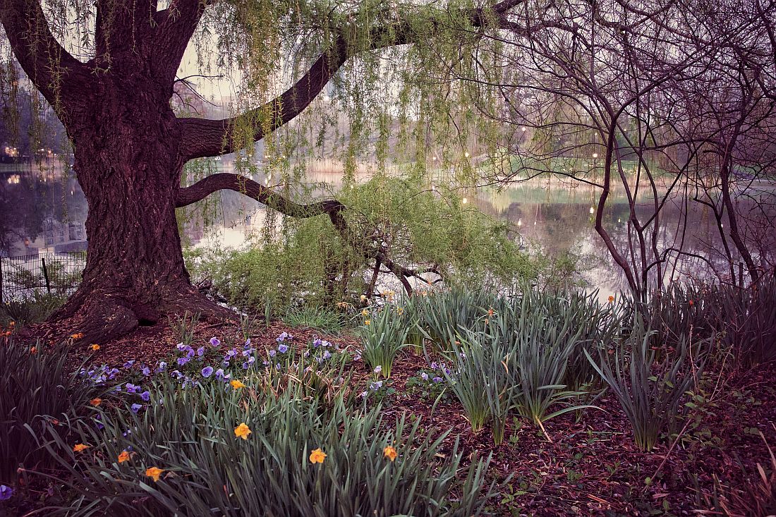 Favorite Hunks & Other Things: Richard Rothstein: Spring Awakenings