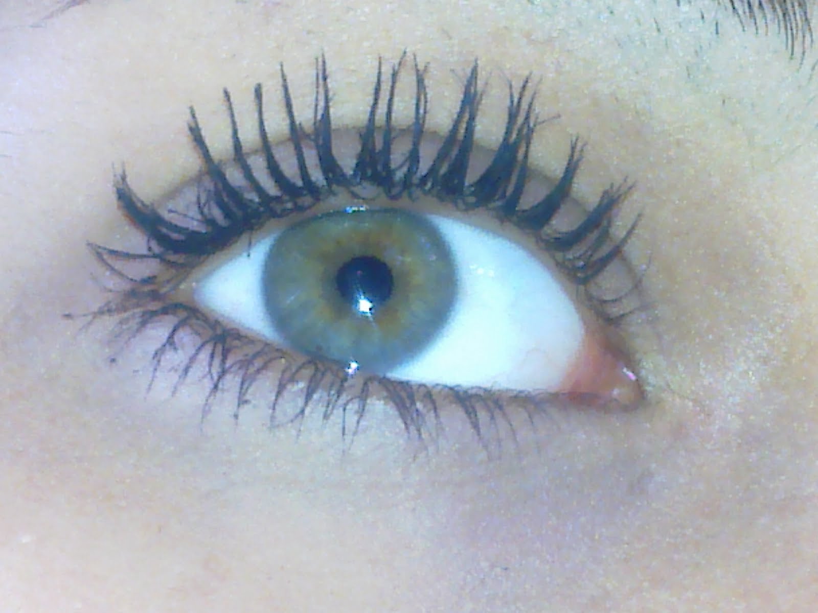 Comment faire pour obtenir plus long cils: Top 6 Conseils que vous ...