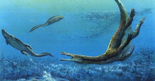 Mundo Pré-Histórico: Notossauro, um réptil semiaquático