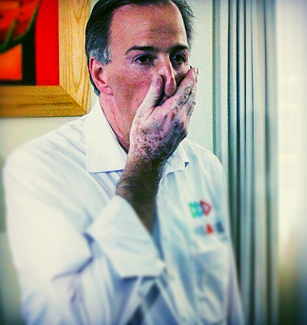 Samuel Hernández Apodaca: ¿QUIÉN DIABLOS ES MEADE?