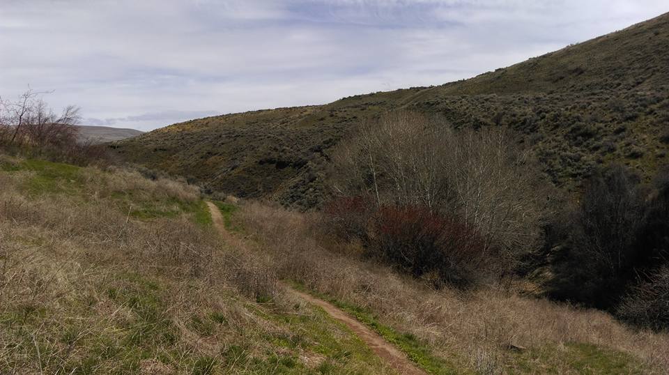 Umtanum Ridge Crest - The First Half - Islands to Mountains