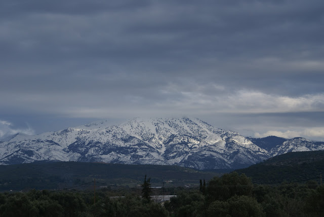 Ψαχνα blog: ΕΙΚΟΝΕΣ ΑΠΟ ΤΑ ΨΑΧΝΑ ΕΥΒΟΙΑΣ 2