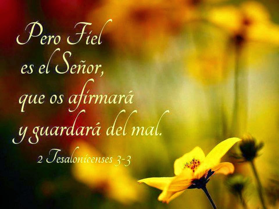 compartiendo-mi-devocional-diario-1-pedro-2-13-15